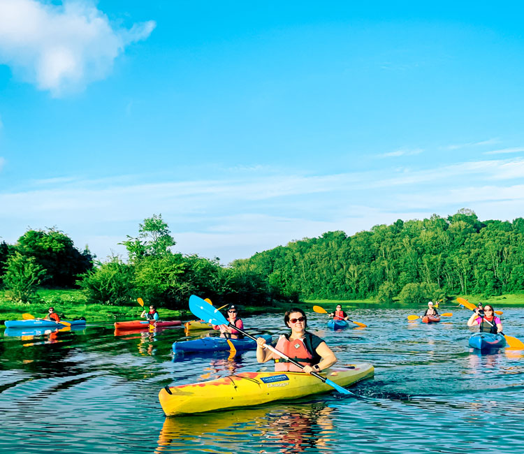 Cavan Adventure Centre | Case Study | Irish Media Agency